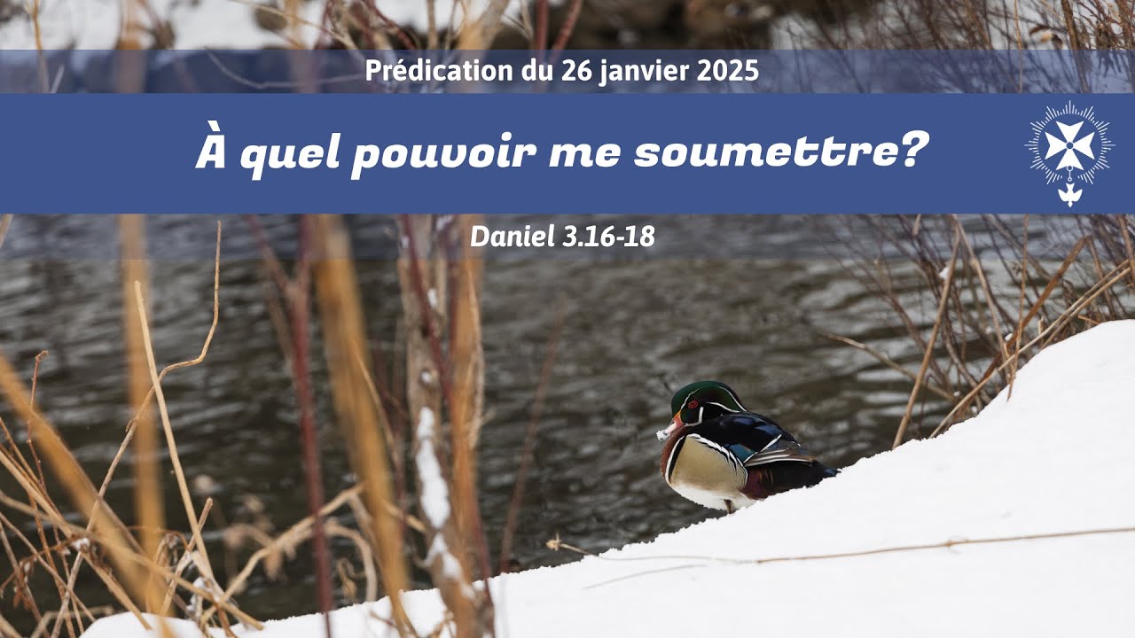Quel Pouvoir Me Soumettre Daniel 3 16 18 YouTube quel-pouvoir-me-soumettre-daniel-3-16-18-youtube