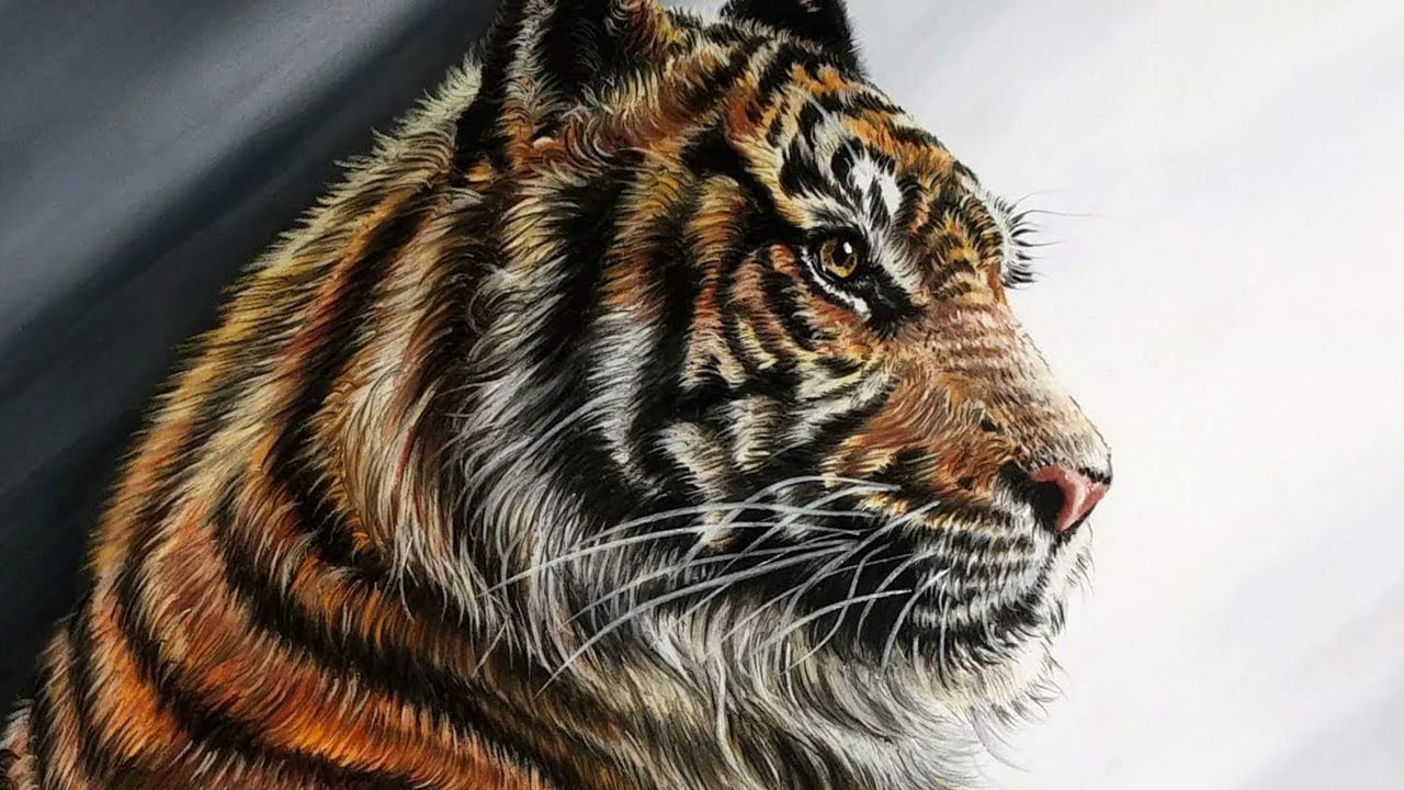The Most BEAUTIFUL Tiger Drawing! - YouTube