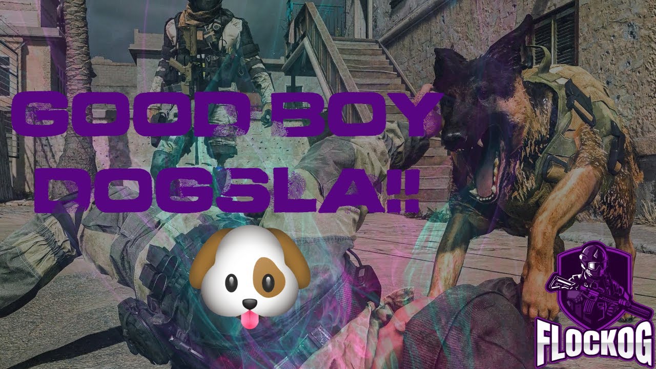 WARZONE - DOGSLA WANTS A KILL TOO! - YouTube