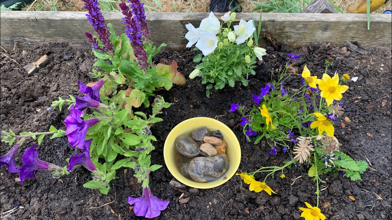 How To Make A Butterfly Garden YouTube how-to-make-a-butterfly-garden-youtube