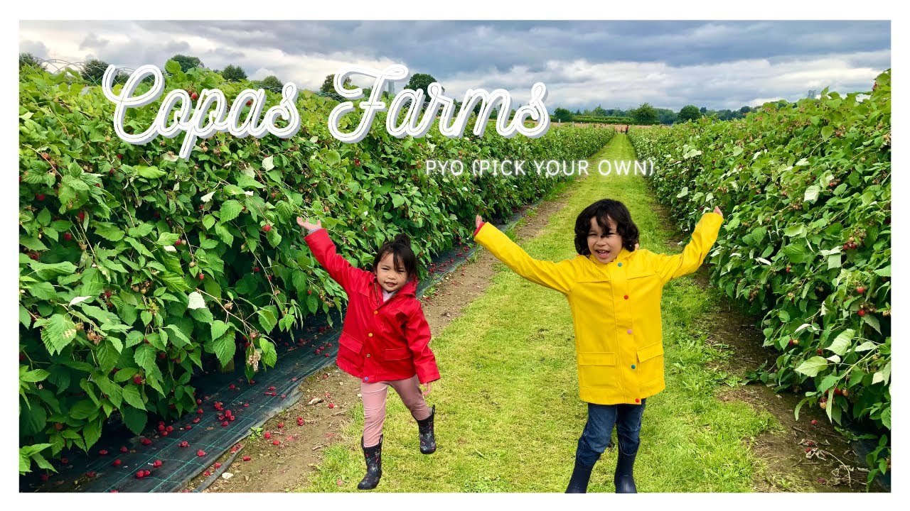 Pick Your Own at Copas Farms | Fruit Picking | Sassshai - YouTube