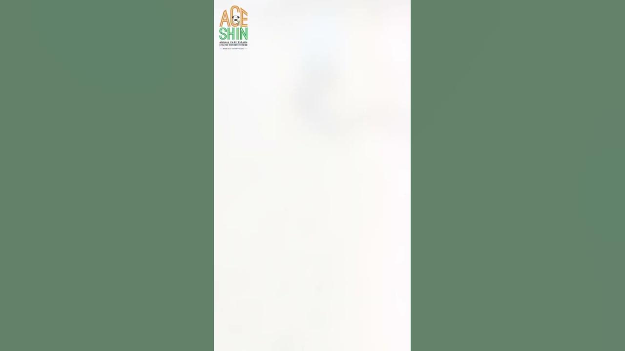 ACE|SHIN Cruz - YouTube