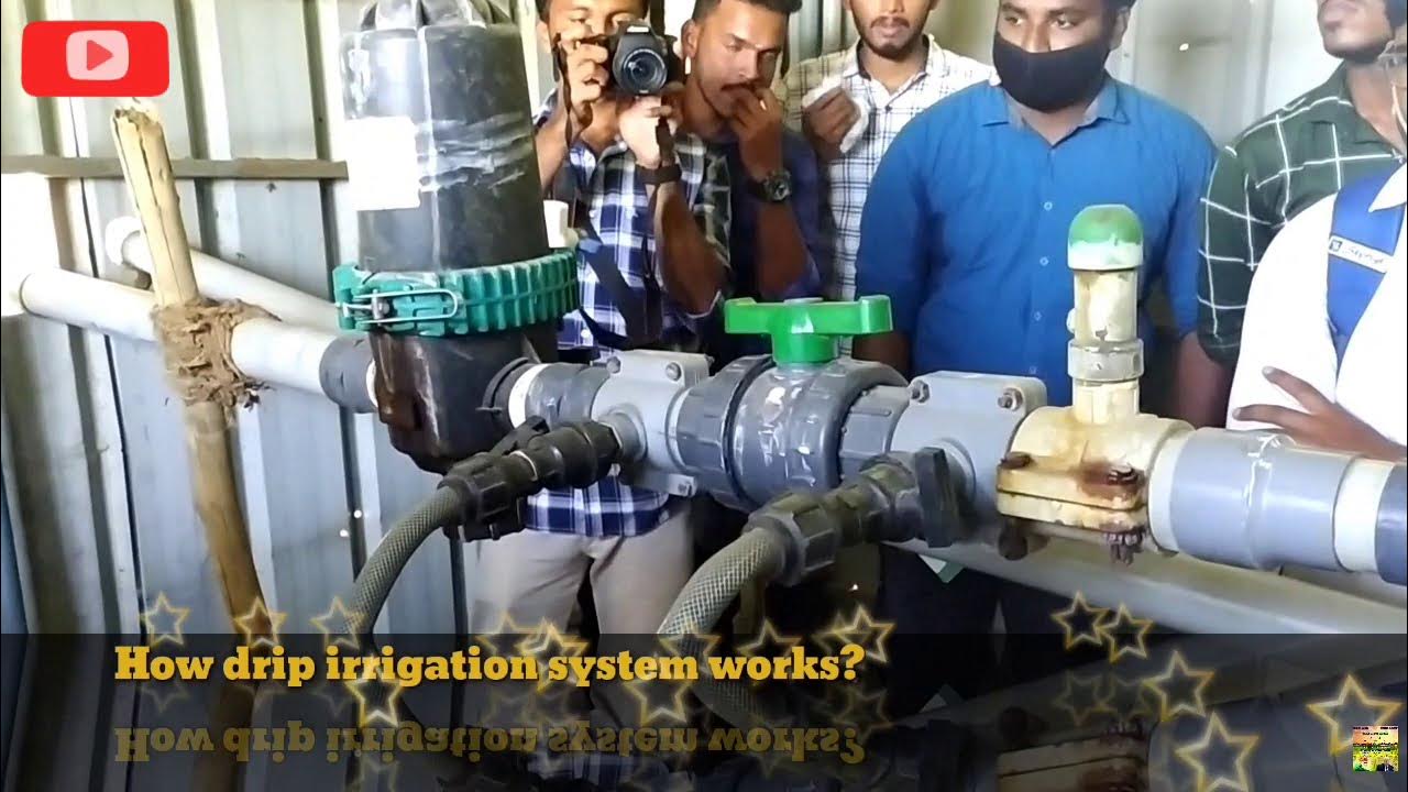 How drip irrigation system works? | Short explanation | A field visit ...