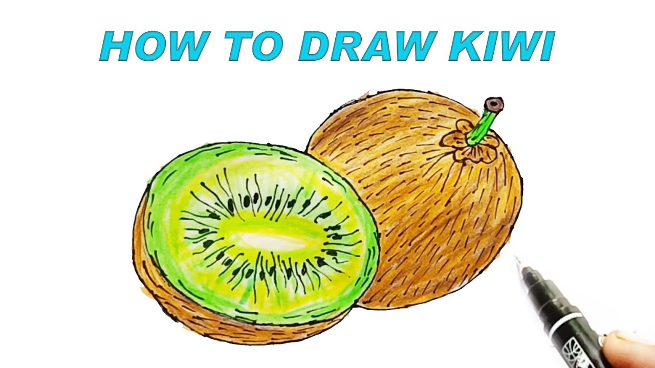 Drawing a Realistic Kiwi Fruit: Step-by-Step Guide - YouTube