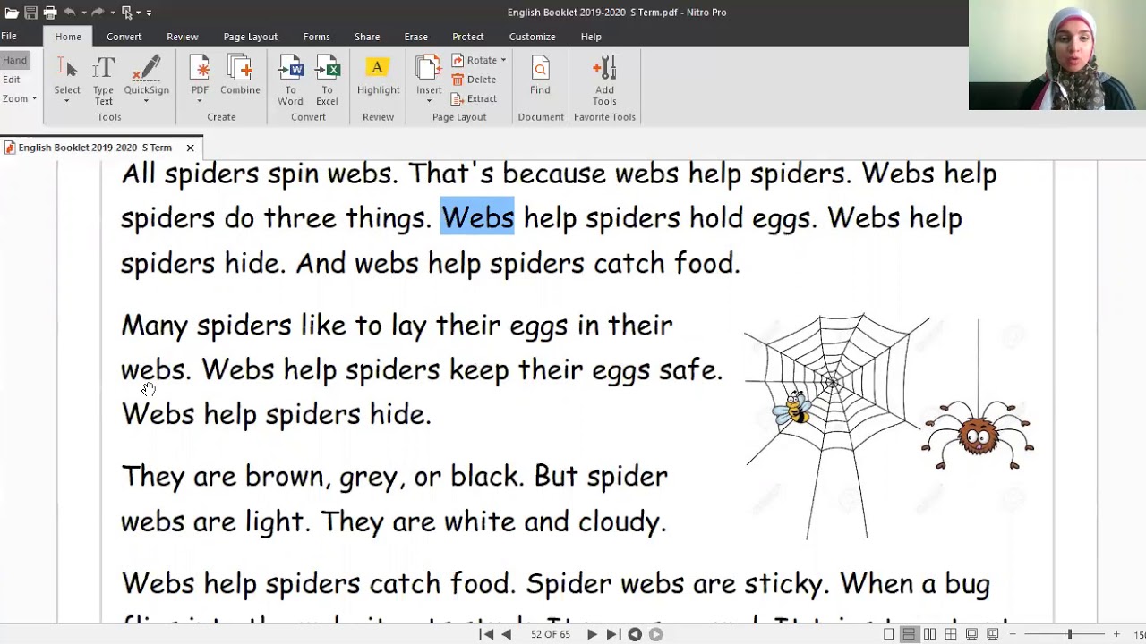 Spider's web comprehension - YouTube