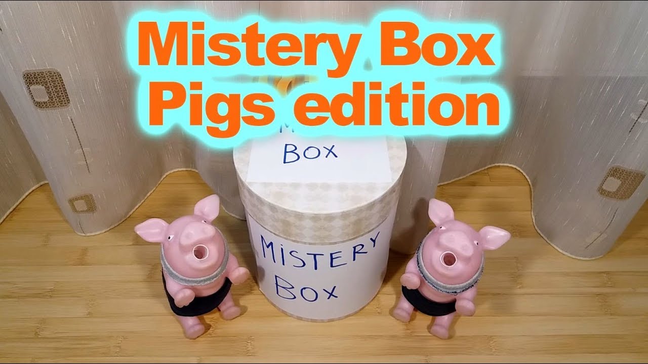 Mistery Box Pigs edition by HAPPY PIGS - YouTube