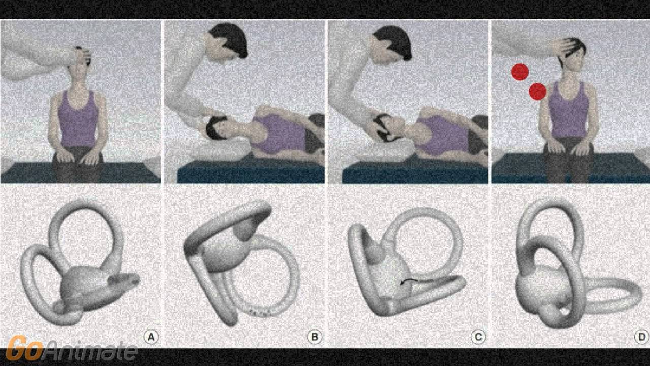 Función del sistema vestibular - YouTube
