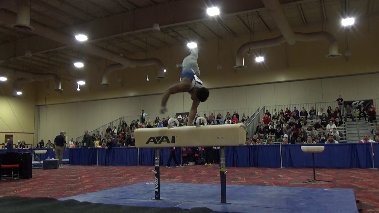 Donovan Hewitt - Pommel Horse - 2019 Winter Cup Junior Finals - YouTube