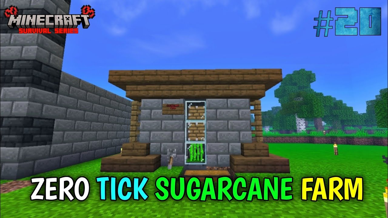 ZERO TICK SUGARCANE FARM IN MINECRAFT SURVIVAL #20 | IN HINDI - YouTube