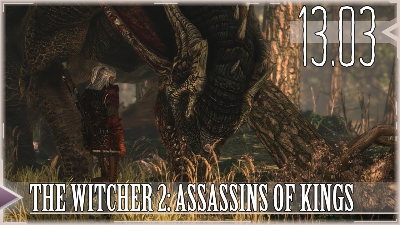 Le destin de Saskia [The Witcher 2: Assassins of Kings | Session 13 ...