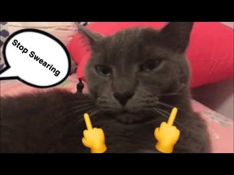 Stitch's Treats: The Swearing Stitch - YouTube
