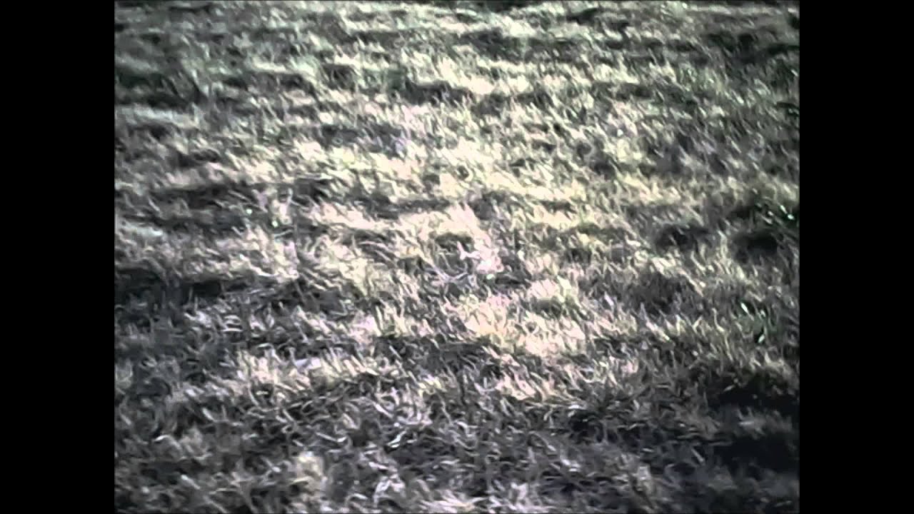 MJX F49 camera flying Holland 6-03-2015 - YouTube