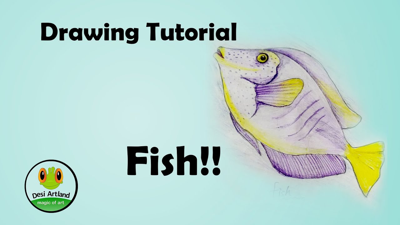 Drawing tutorial | How to draw Fish | Draw & color - YouTube
