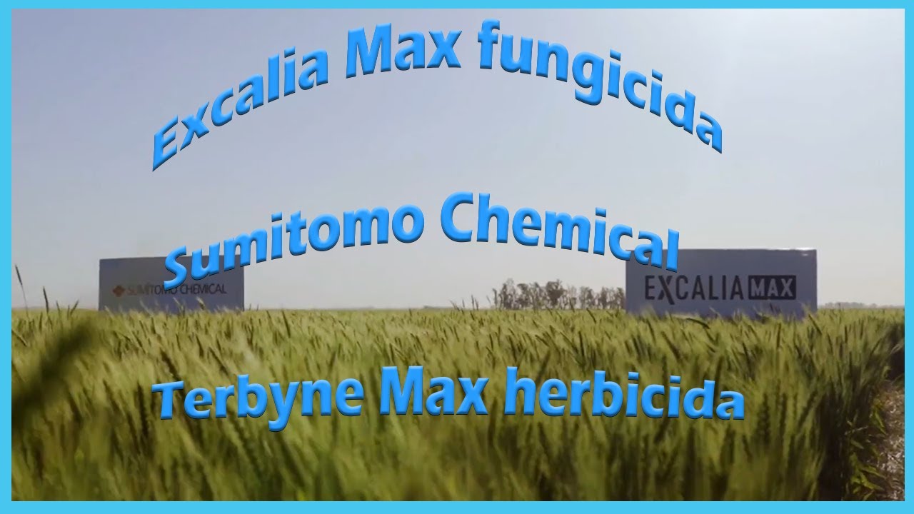 Excalia Max el fungicida Ready Mix | Terbyne Max, la nueva fortaleza ...
