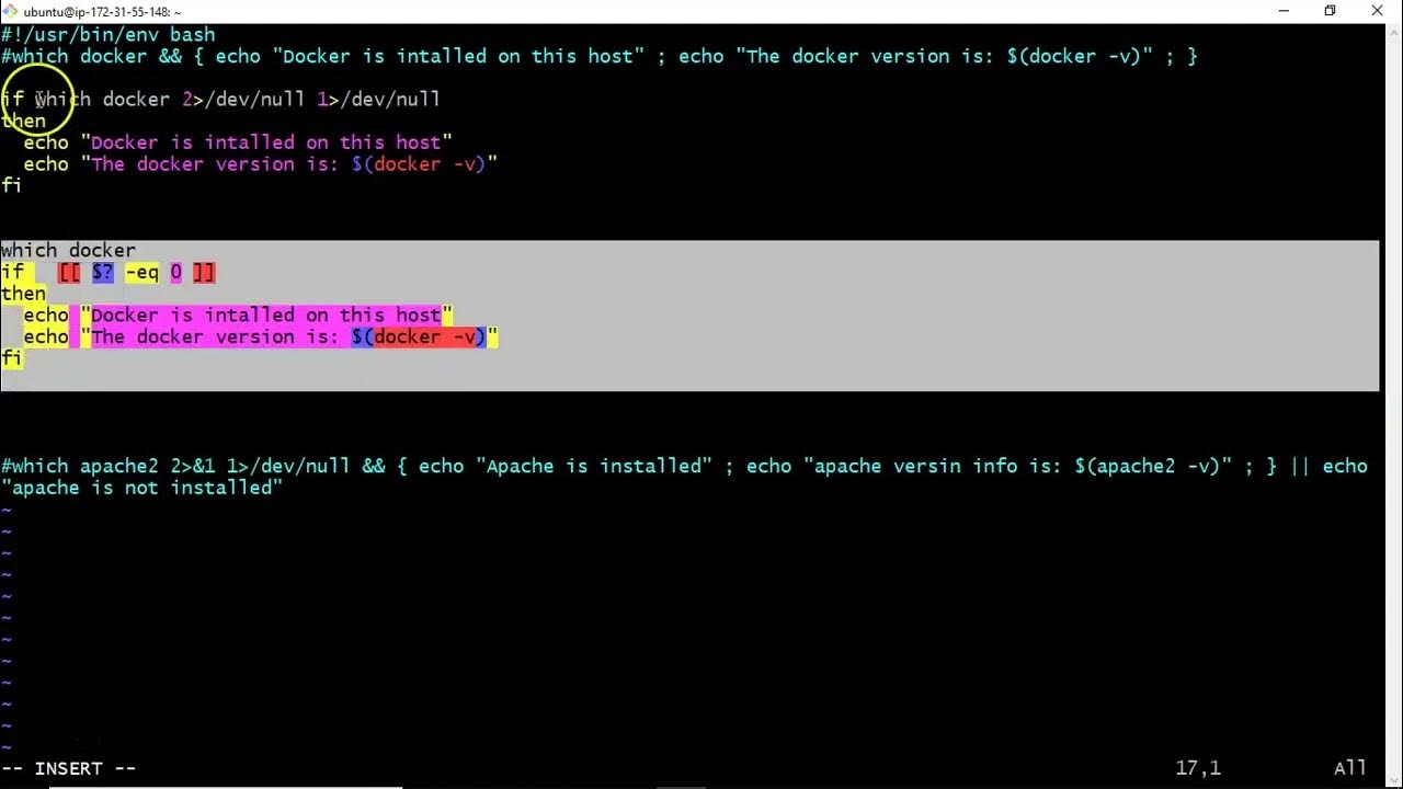 Simple If And If Else Conditional Statements Bash Shell Scripting Youtube