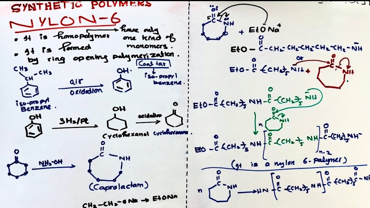Nylon 6 Mechanism For Formation Of Nylon 6 Synthetic Polymers