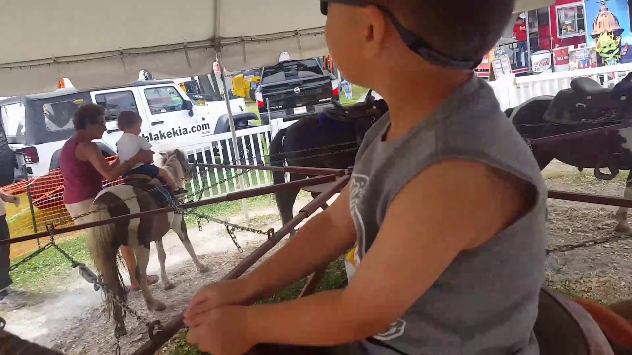 Fair pony ride - YouTube