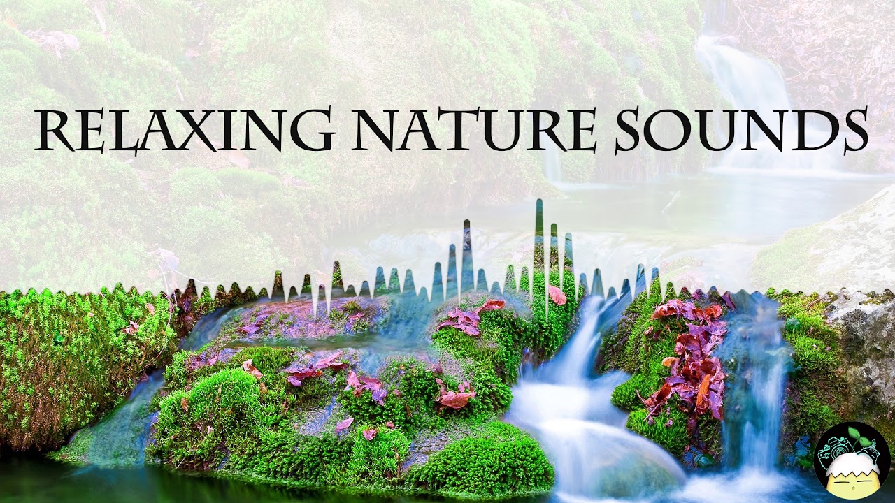 【FREE】Relax 8 Hours Relaxing Nature Sounds Study Sleep Water Sounds ...