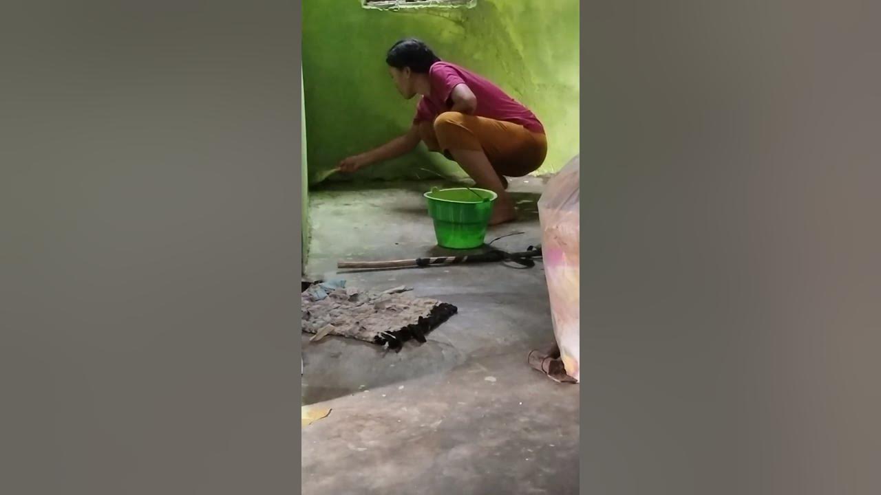 Enak nya punya istri yang rajin shorts - YouTube