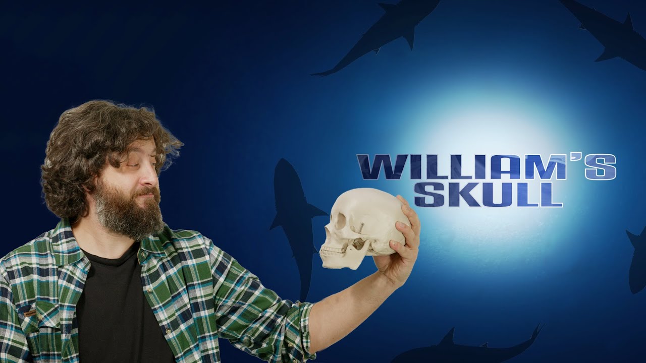 William's Skull - YouTube