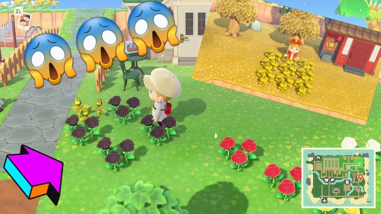 [TUTO FR] COMMENT FAIRE/AVOIR DES ROSES EN OR SUR ANIMAL CROSSING NEW ...