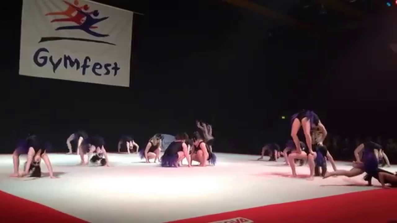 Illusion Gymnastics Club - Senior Display Team at Gymfest 2014 ...