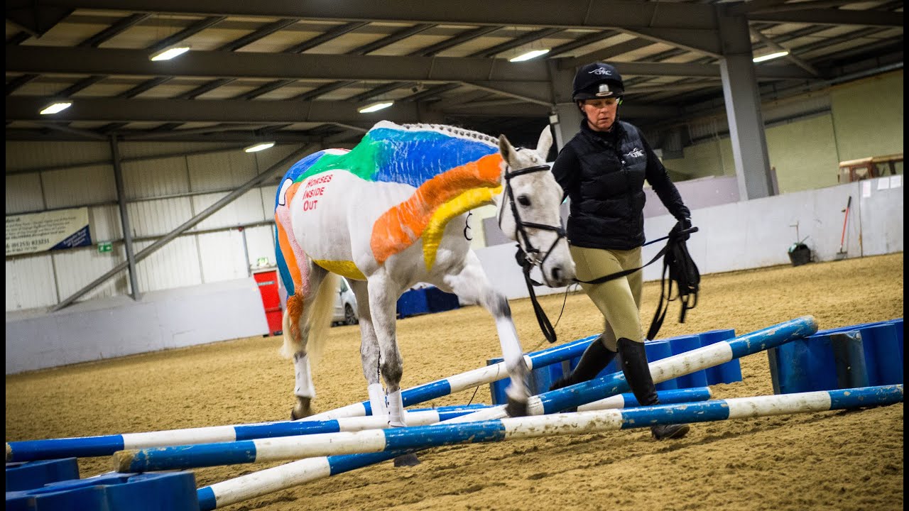 A Horses Inside Out Demonstration with Gillian Higgins - YouTube