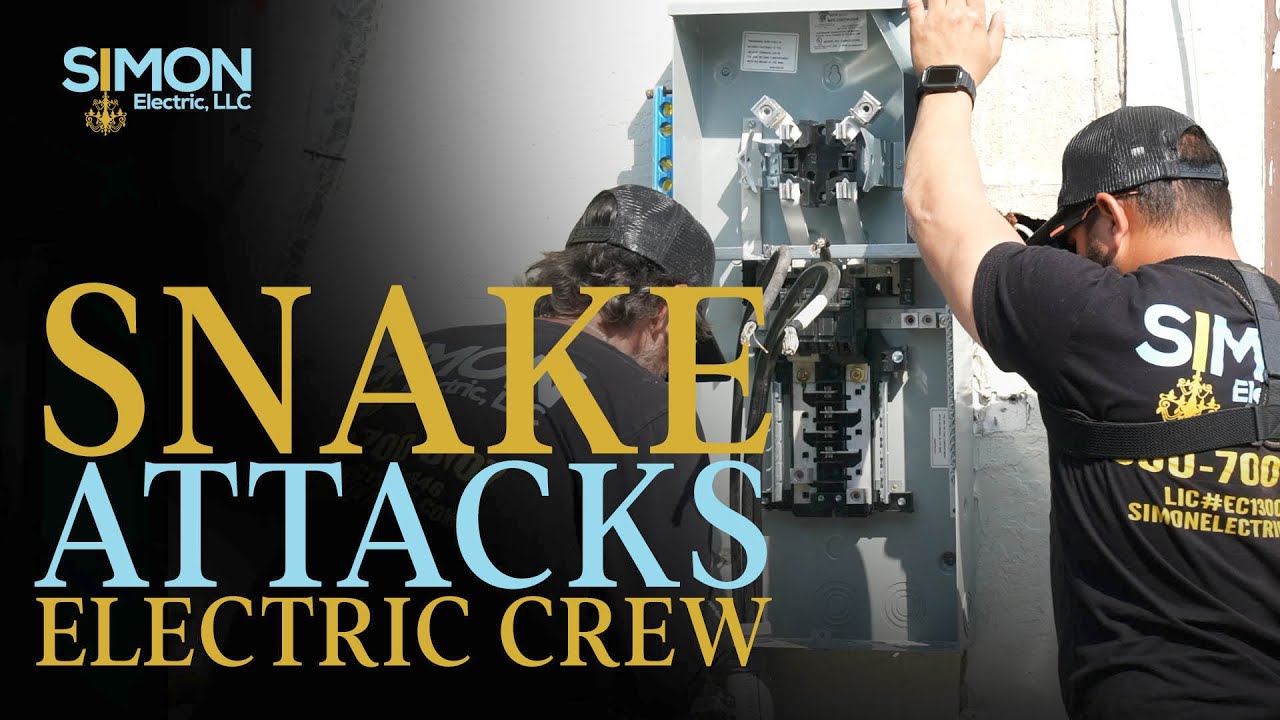 Snake Attacks Electric Crew - Simon Electric LLC - YouTube