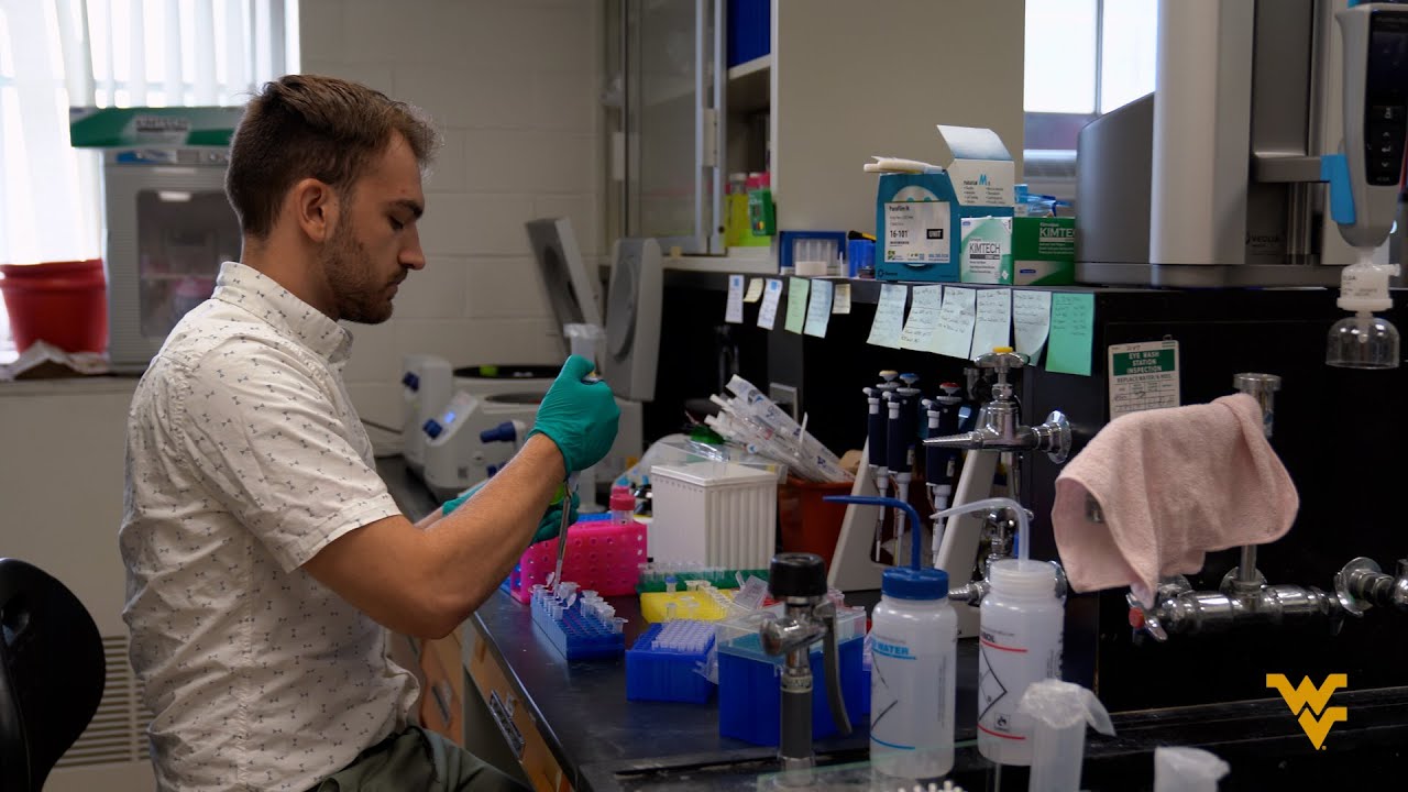 WVU School of Medicine researchers capture an atomic view of synthetic ...