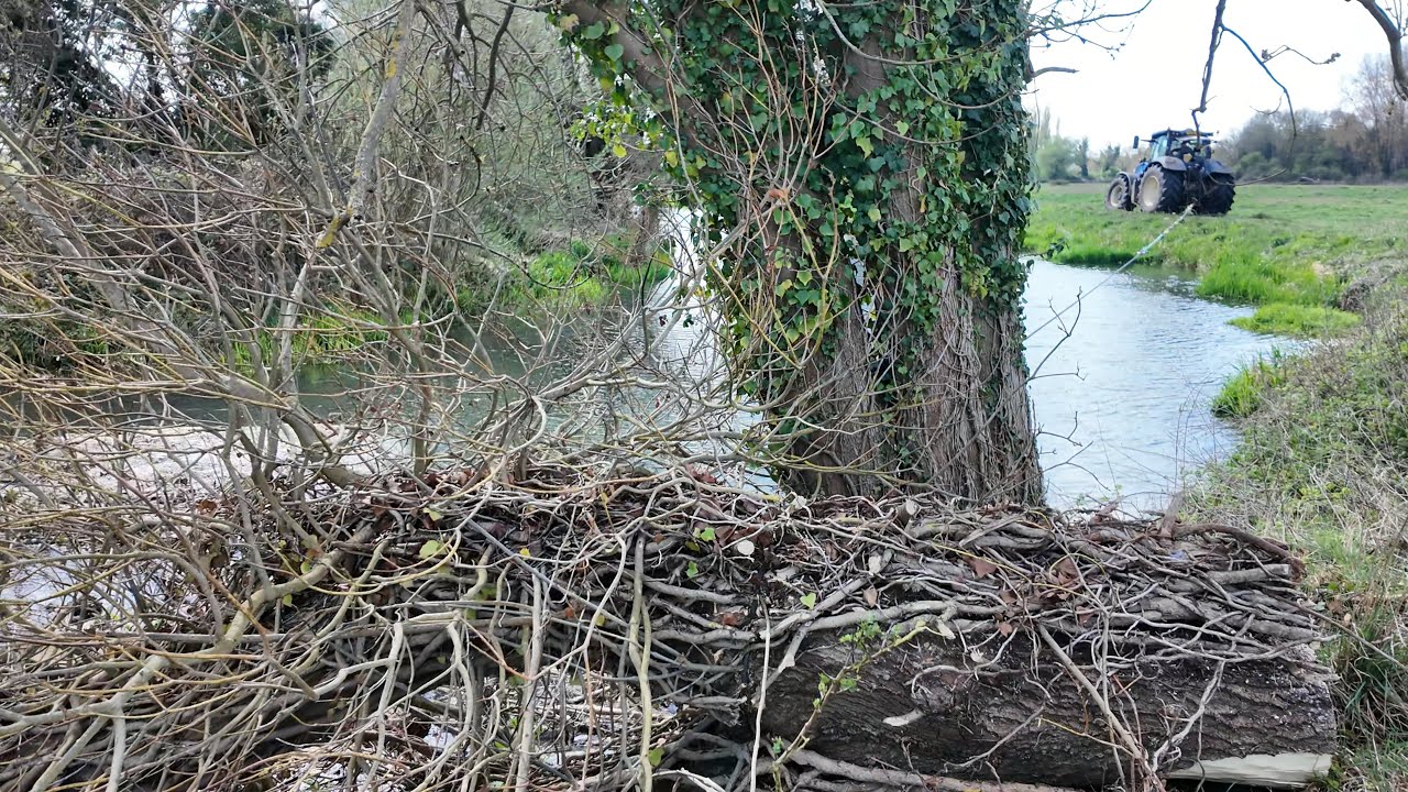 REMOVING A TREE BLOCKING A RIVER - YouTube