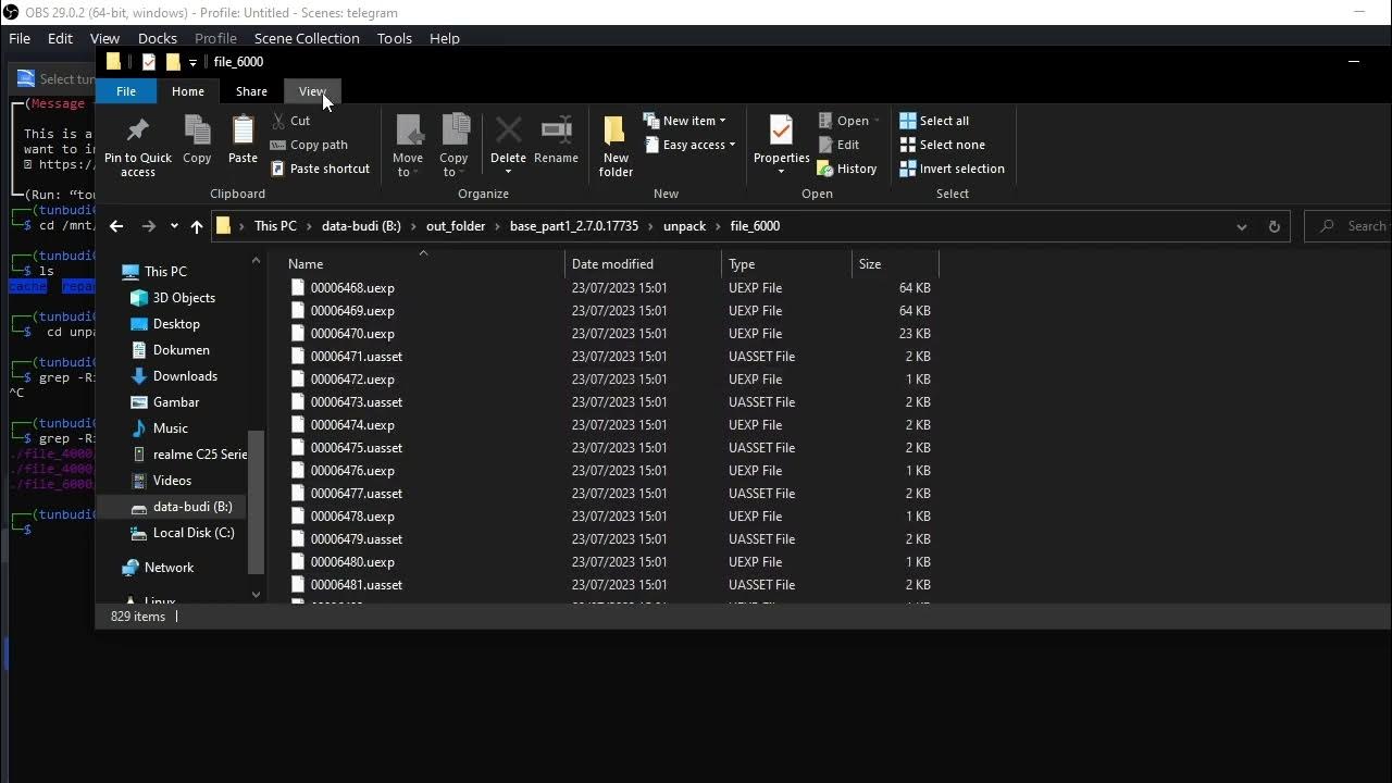 Tutorial: How to unpack and mod PAKS Latest Version with ThePAKV5 Tools ...