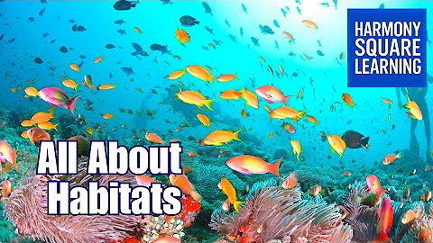 Grade 4 Science - Habitats and Communities - YouTube