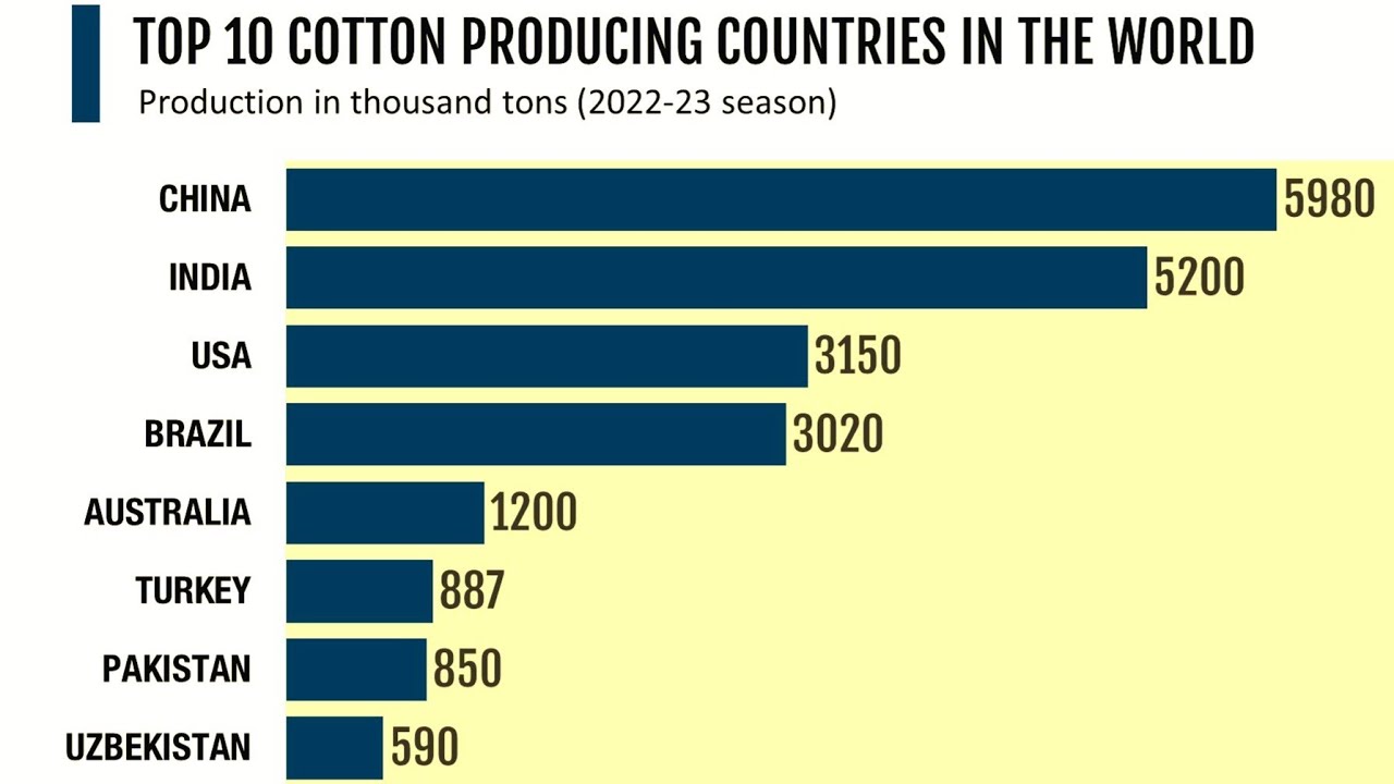 Top 10 Cotton Producing Countries In The World 2023 Cotton Production top-10-cotton-producing-countries-in-the-world-2023-cotton-production