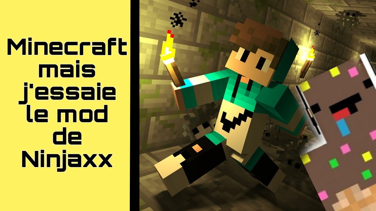 Minecraft mais j'essaie le mod de Ninjaxx.. - YouTube