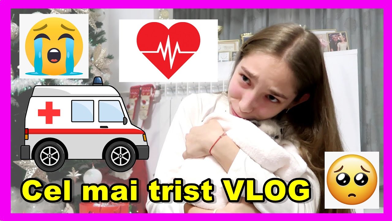 Cel mai trist vlog ! Mi-a murit pisica ! - YouTube