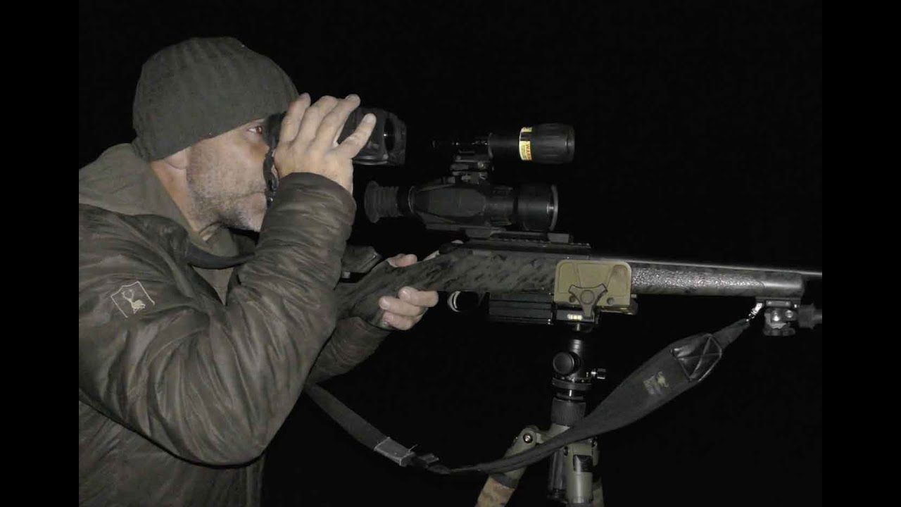 The Shooting Show - Mark Ripley's Foxing Bonanza with Sightmark Wraith ...