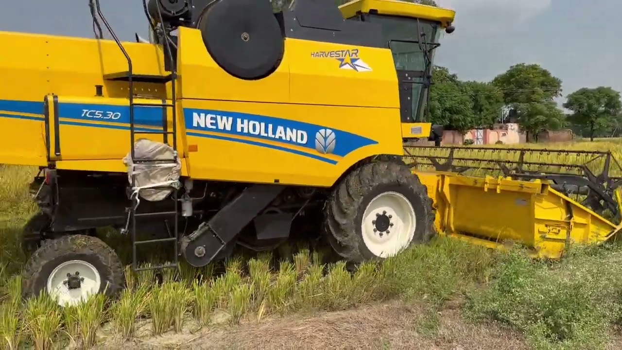 New holland tc5.30 swaraj 8100 start harvesting season 2022 paddy ਝੋਨੇ ...