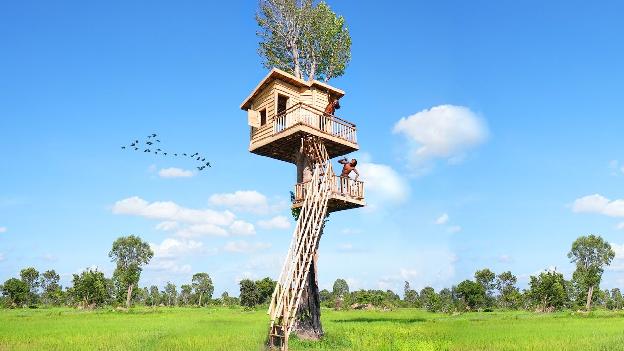 Absolutely Perfect! Build Amazing Treehouse With One Tree Under The ...