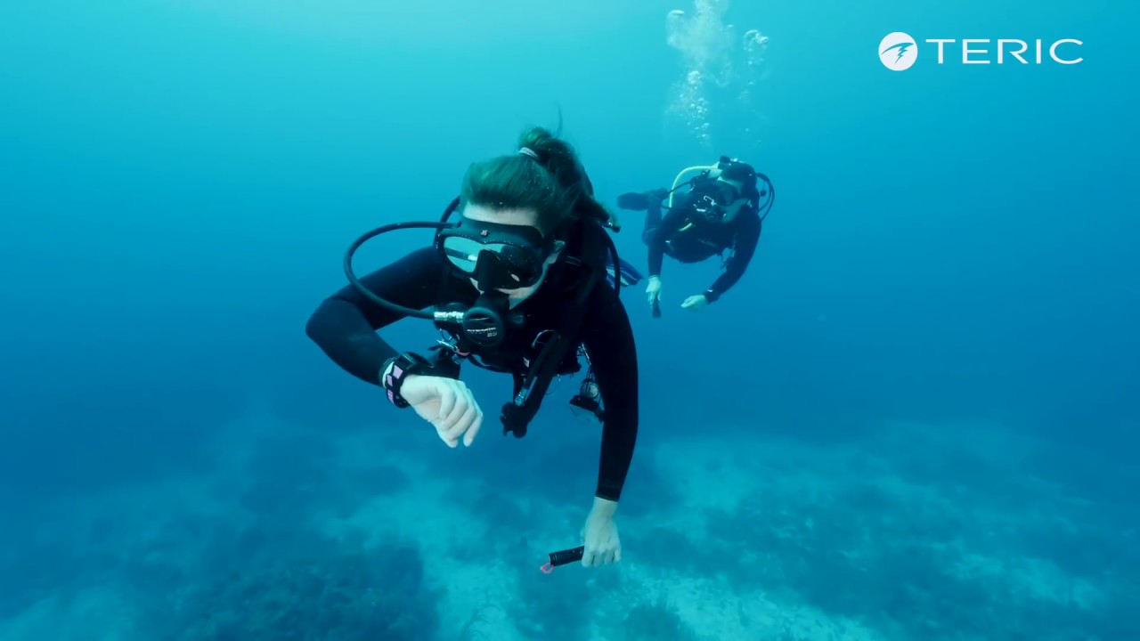 Shearwater Research Teric - Dive Watch and Computer - YouTube