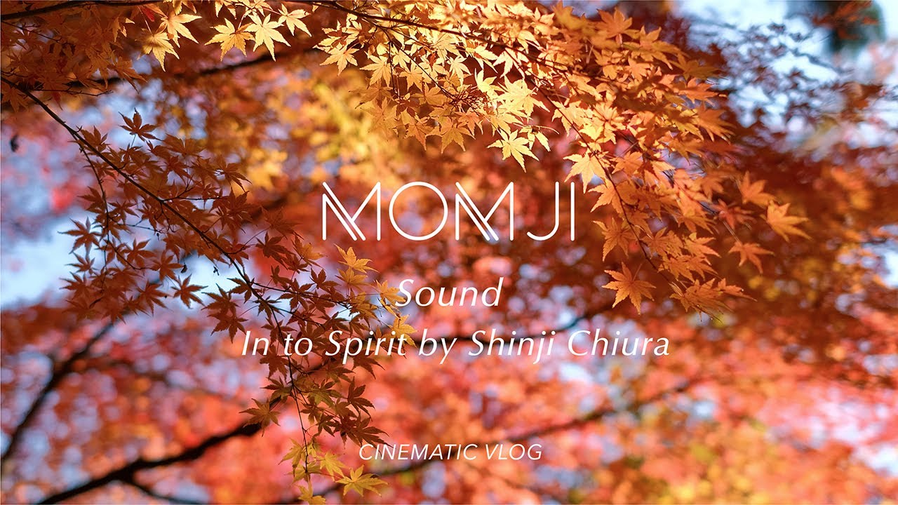 Cinematic Vlog | MOMIJI | Sound by Shinji Chiura | シネマティック | Fuji X-T4 ...
