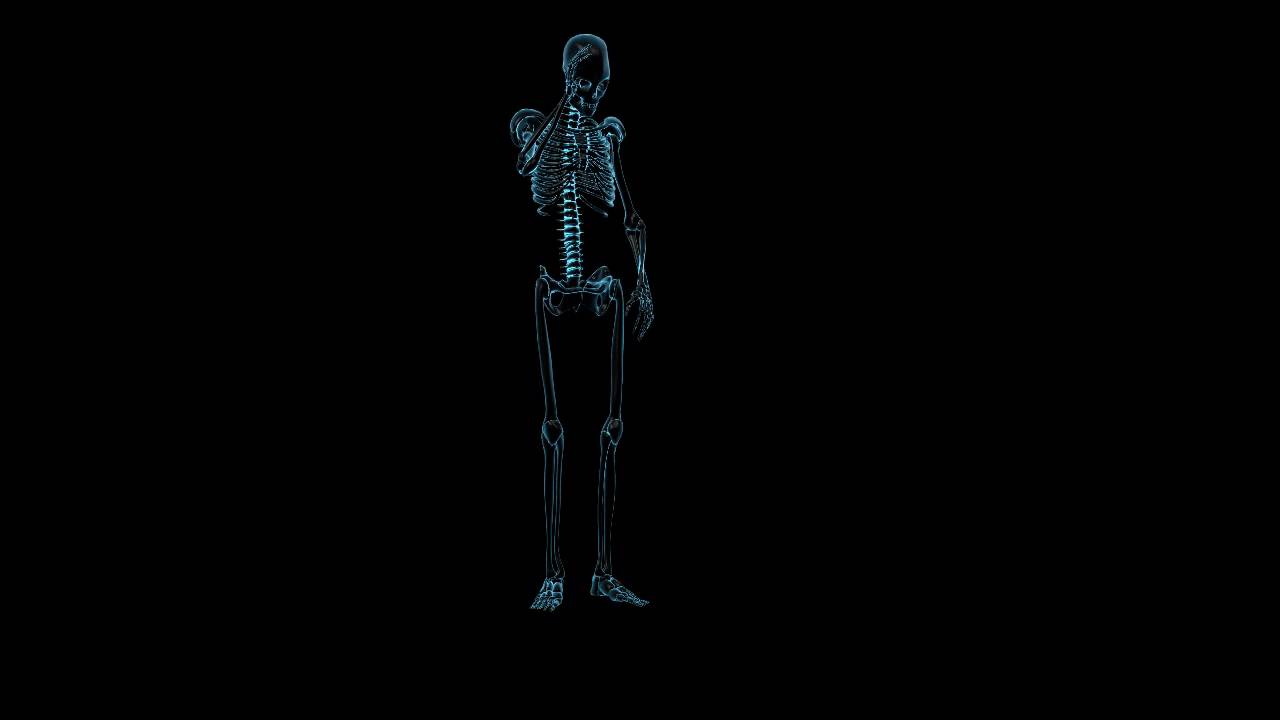 skeleton man talking on the phone - YouTube
