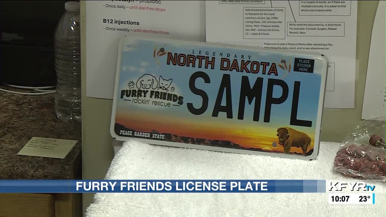 Furry Friends to benefit from new license plate emblem - YouTube
