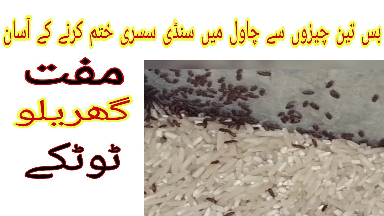 only three ingredient sy || Rice sy sundi ko khtam krny asan tarika ...