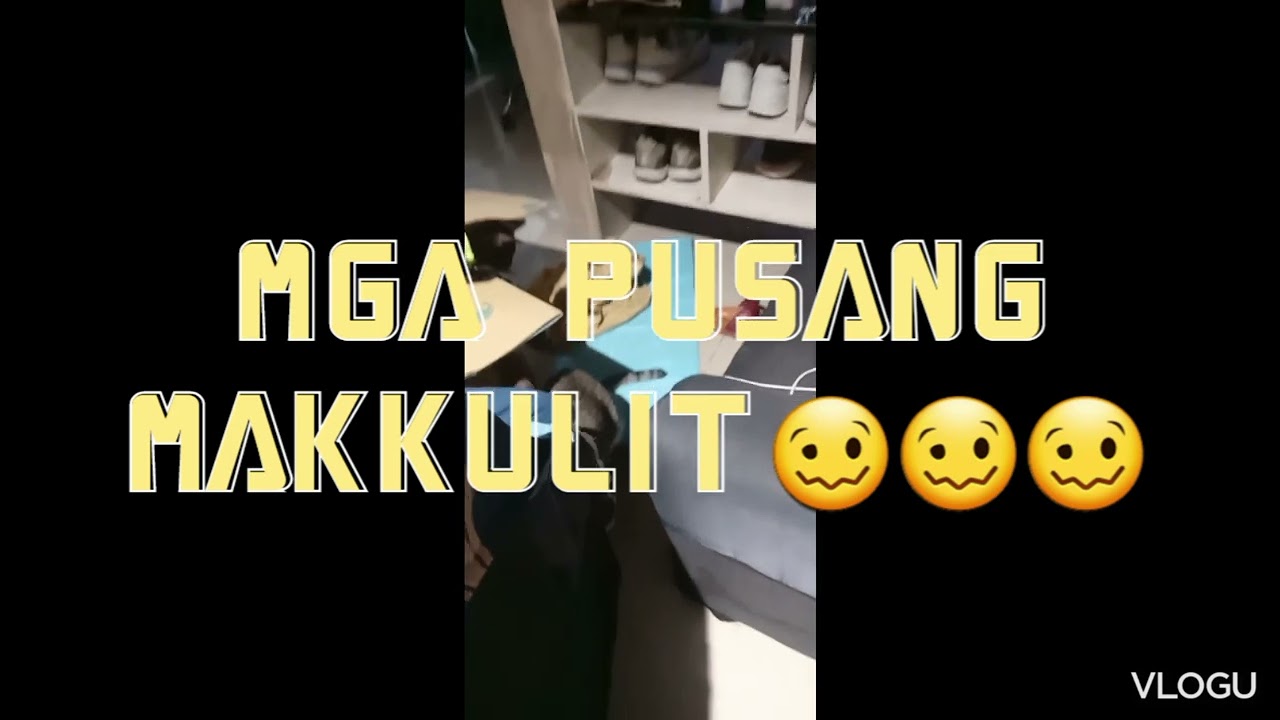 pusang mataba antukin at mukhang pera😂 ️ - YouTube