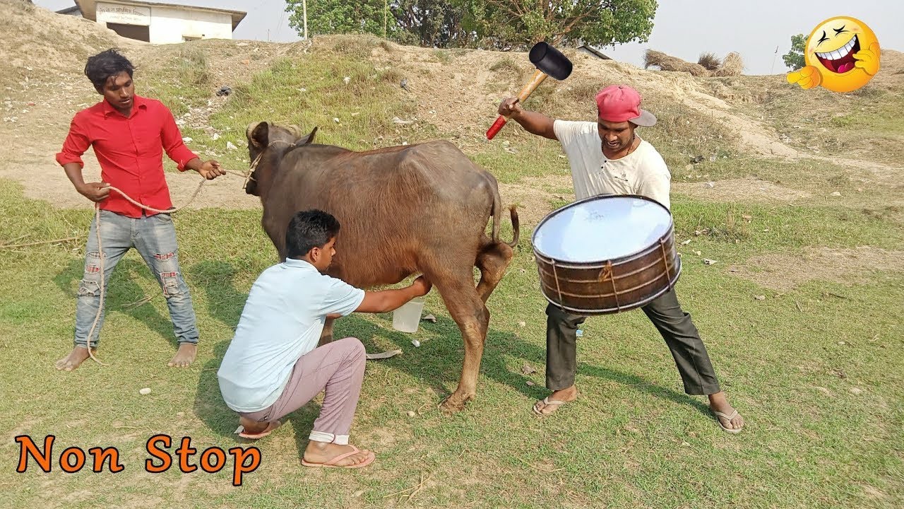 Must Watch New Nonstop tuitui Funny Comedy Video 2022 😜 Must Funny 2022 ...
