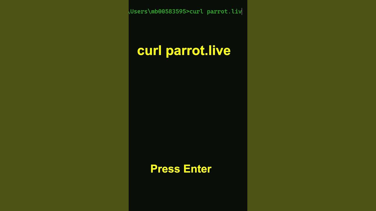 curl ascii live parrot | curl ascii.live/parrot #shorts #curlshot #curls - YouTube