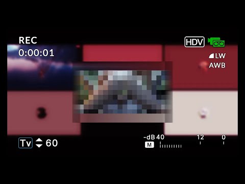 Those Random Discord Moments