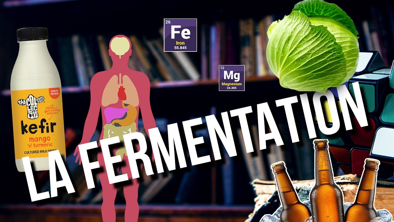 La fermentation - YouTube