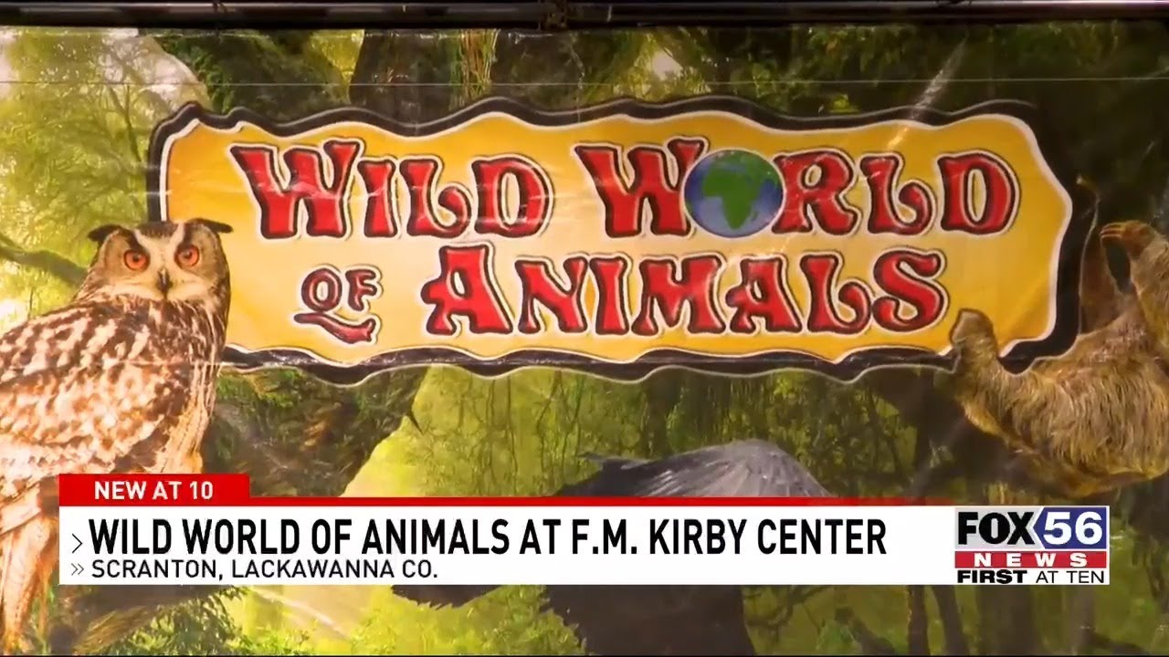 Wild World of Animals brings exotic creatures to Wilkes-Barre for ...