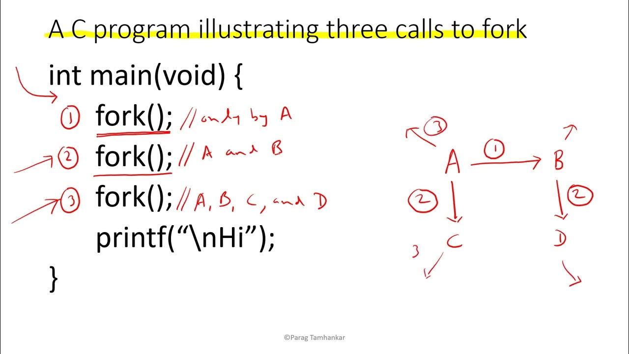 multiple calls to fork system call - YouTube